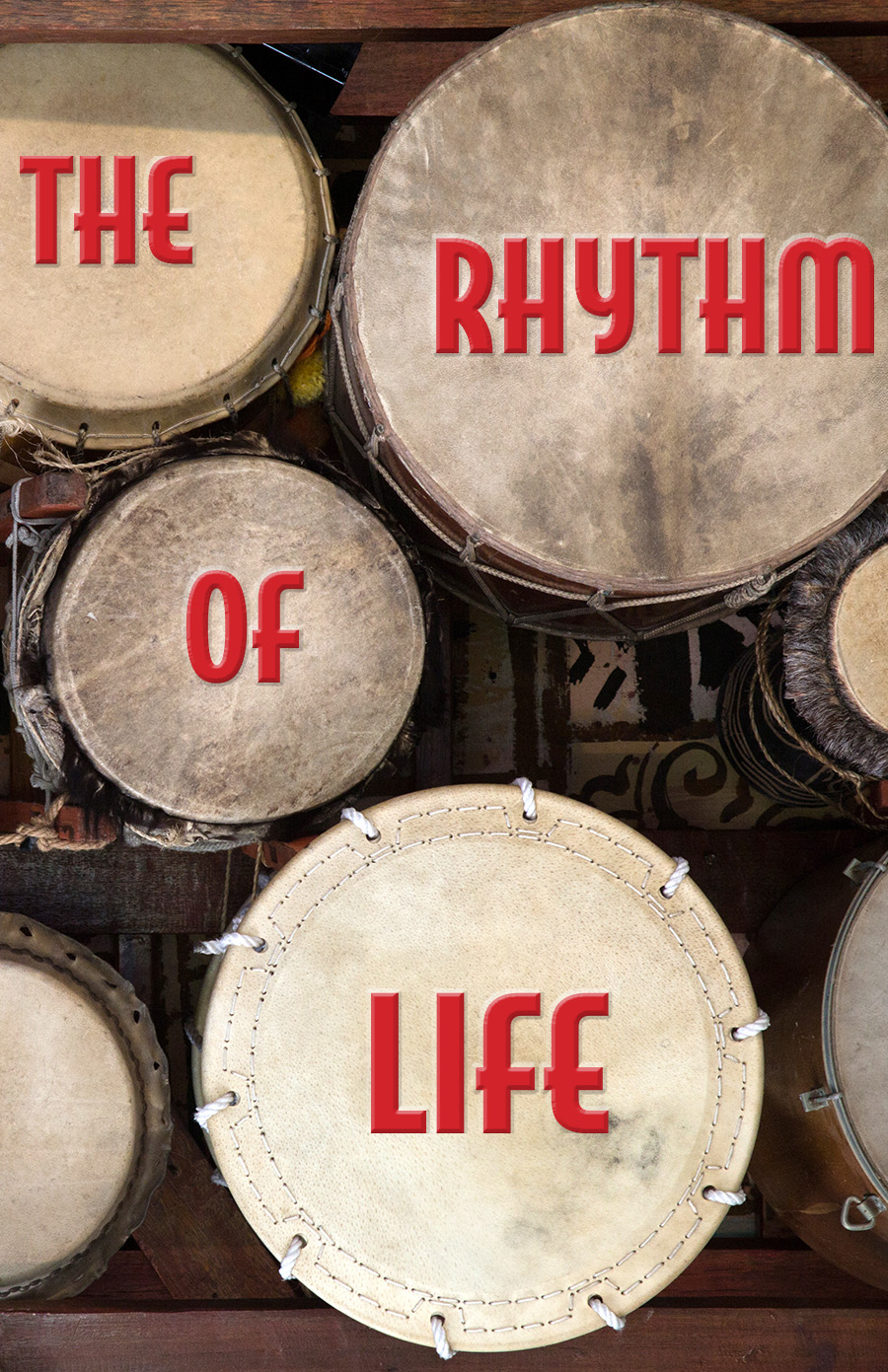 The Rhythm of Life – Northwest Associated Arts